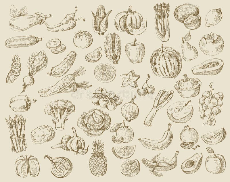 Freehand Drawing Fruit and Vegetables Stock Vector - Illustration of ...