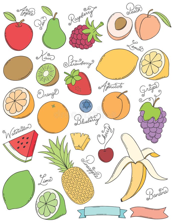 Hand Drawn Fruits stock vector. Illustration of fruit - 45990842