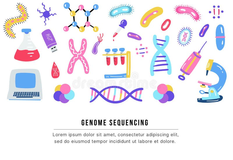 Hand Drawn Genome Sequencing Illustration. Human Dna Research ...