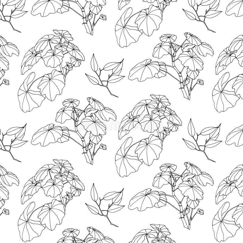 Hand Drawn Geranium Branches with Leaves Seamless Pattern. Outline Wild ...