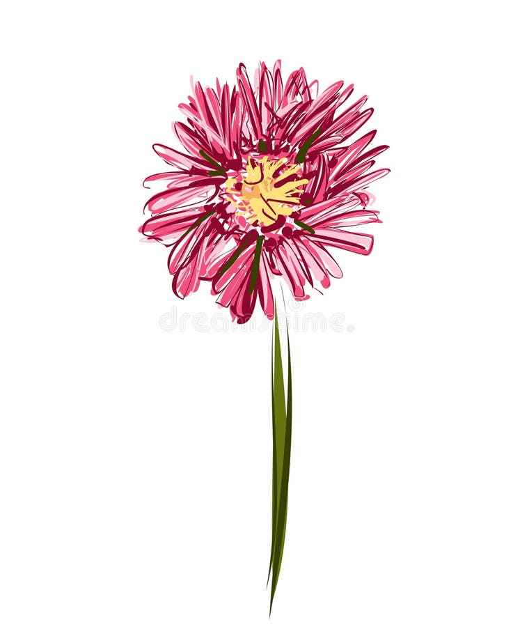 Hand Drawn Gerbera. Flower. Vector Botany Illustration Stock Vector ...