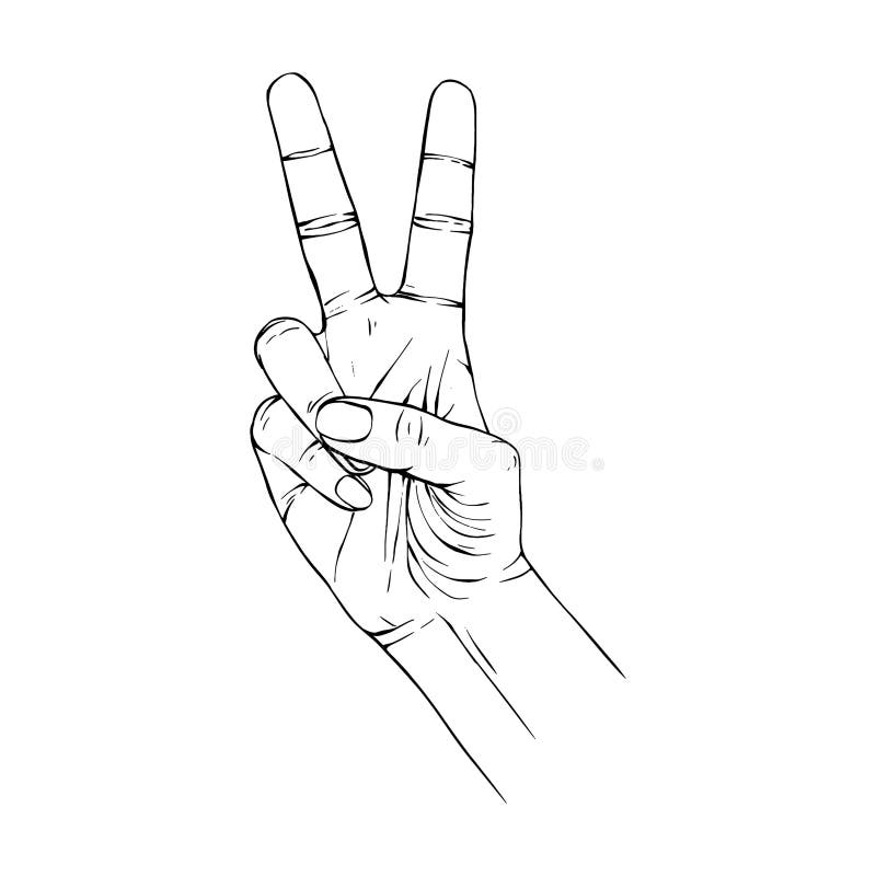 Hand Drawn Gesture Sketch Vector Illustration Line Art Stock Vector