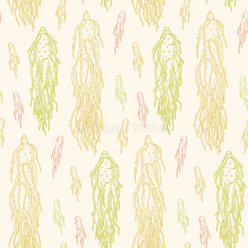 Hand Drawn Ginseng Seamless Pattern. Vector Illustration in Sketch ...