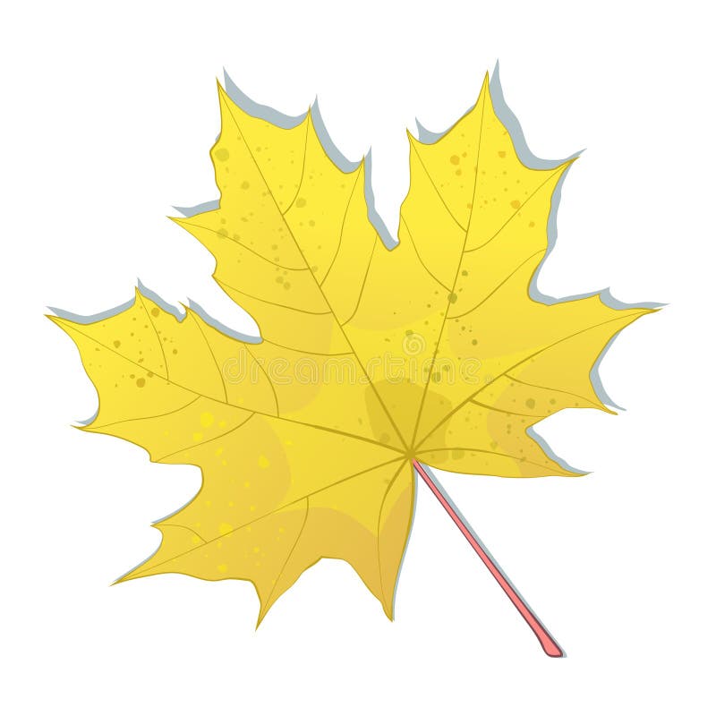 Gold Autumn Maple Leaf Stock Illustrations – 31,160 Gold Autumn Maple ...