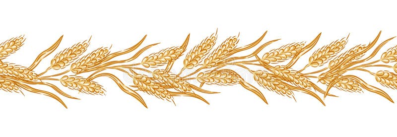 Hand Drawn Golden Wheat Seamless Border Edging Pattern Ribbon Design ...