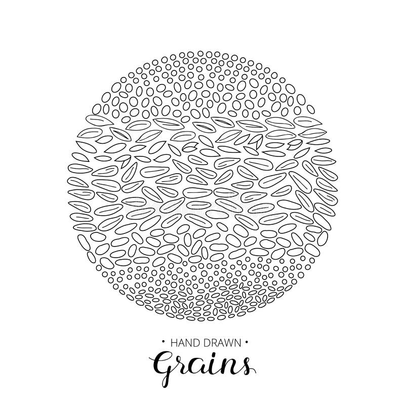 Hand Drawn Grains in Circle. Stock Vector - Illustration of stem, plant ...