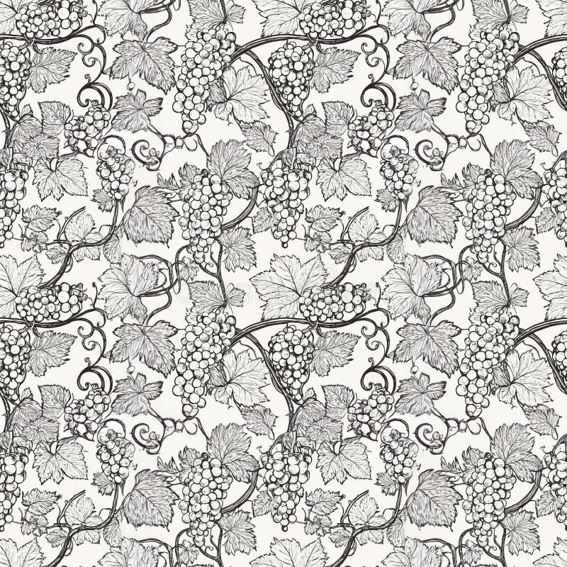 Hand-drawn Grape Vine Pattern for Fabric Design Stock Illustration ...