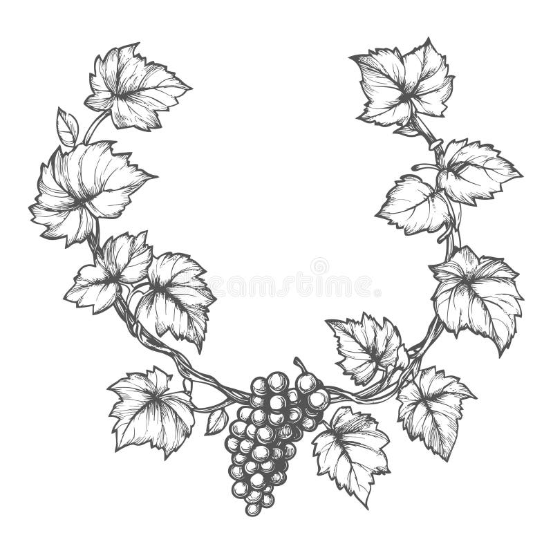 Elegant Grapevine Wreath with Bunches of Grapes, Sketch Style Stock ...