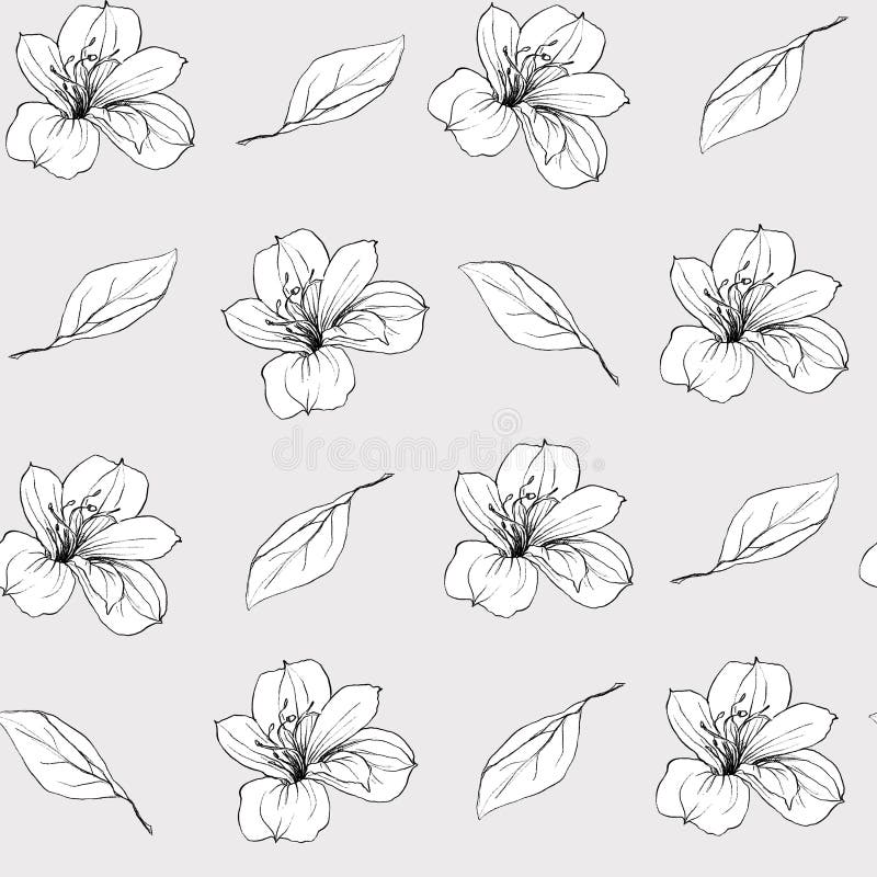 Hand Drawn Pencil Graphic Illustration Seamless Pattern of Vintage ...