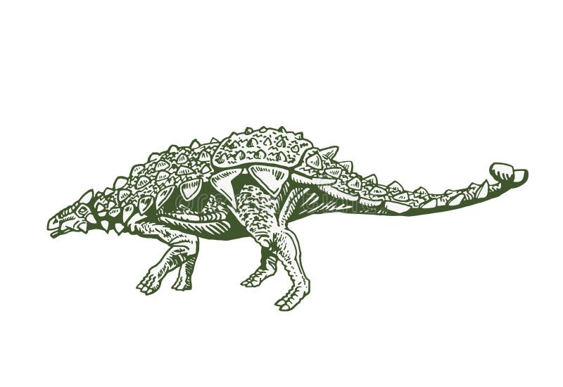 Graphical Green Silvisaurus Isolated on White Background, Vector Color ...