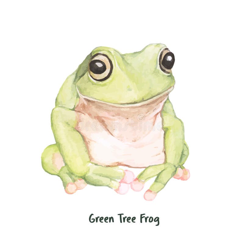 Cute Tree Frogs Drawing