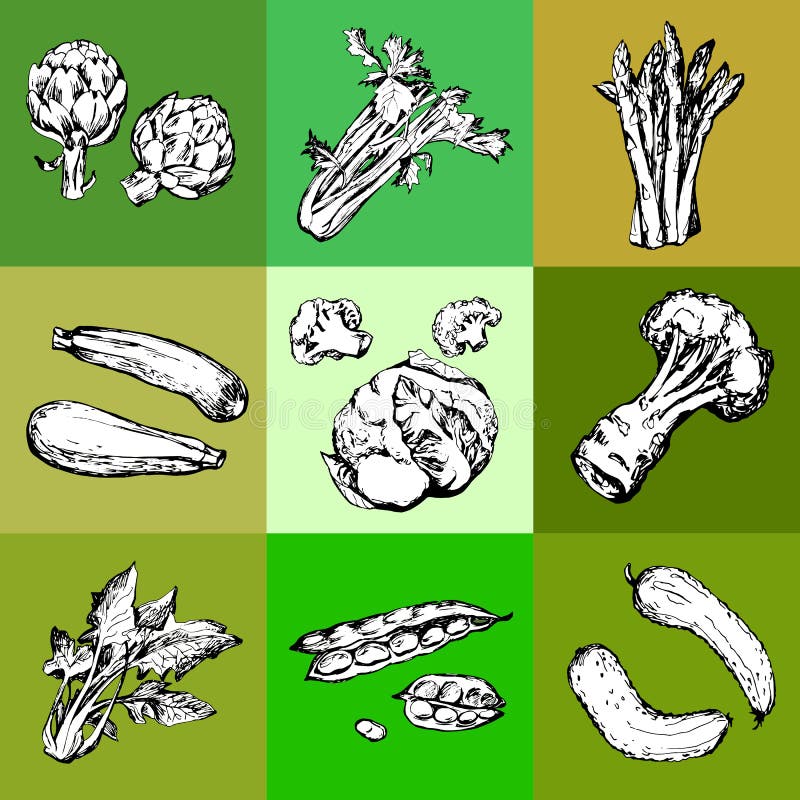 Hand Drawn Green Vegetables Stock Vector - Illustration of healthy ...