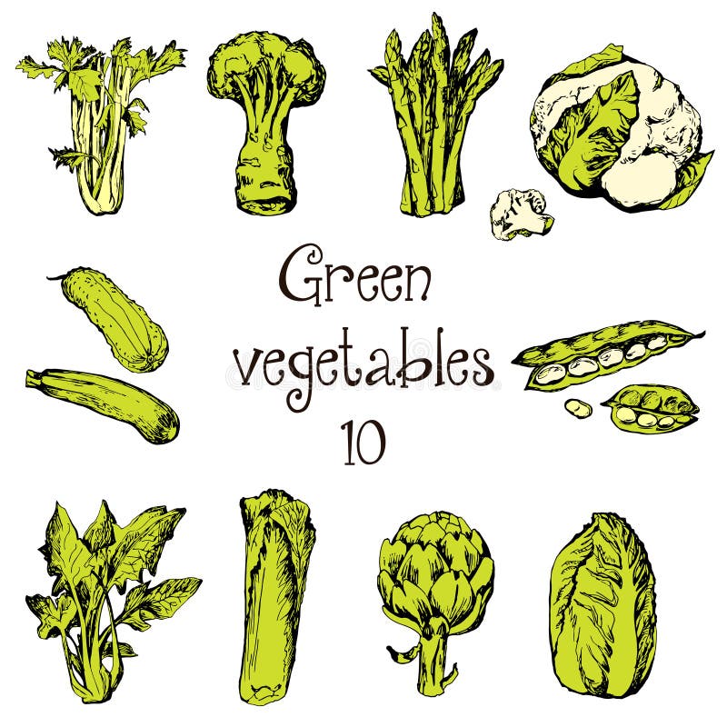 Hand Drawn Green Vegetables Stock Vector - Illustration of drawn ...