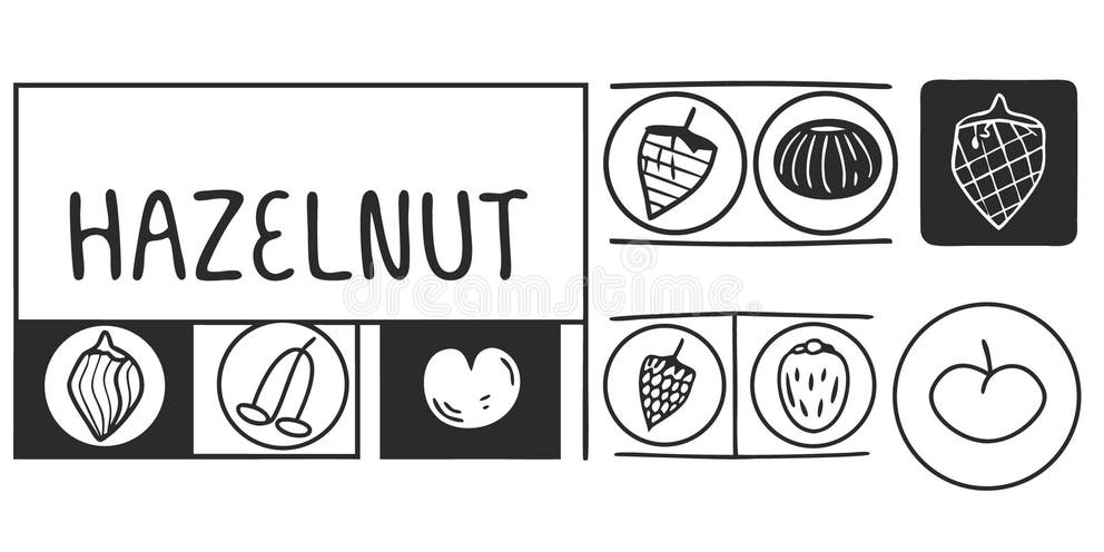 Hand Drawn Hazelnut Illustration with Various Representations on ...