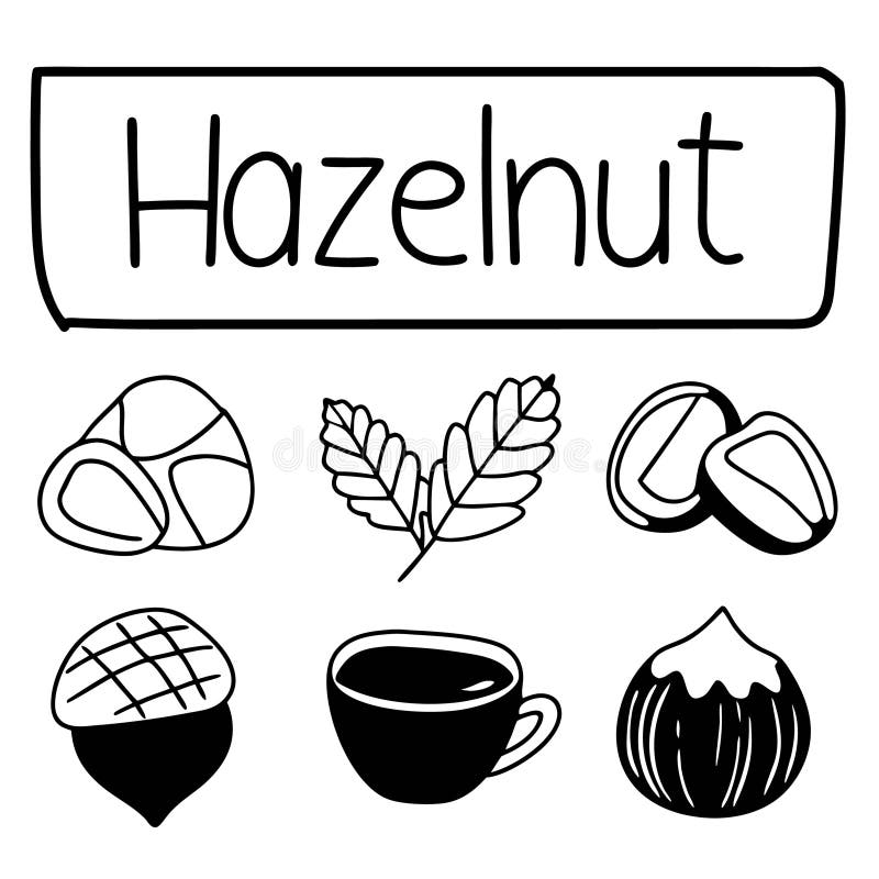 Hazelnut Doodle Set with Nuts Leaves and Coffee Cup Illustration on ...