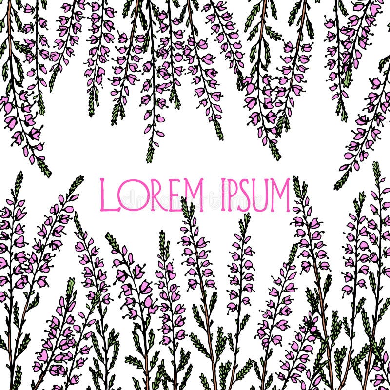 Hand drawn heather stock vector. Illustration of card - 87139626