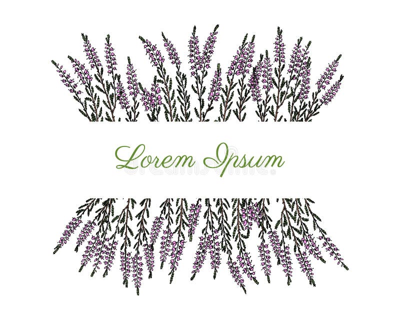 Heather emblem template stock vector. Illustration of fabric - 86252433