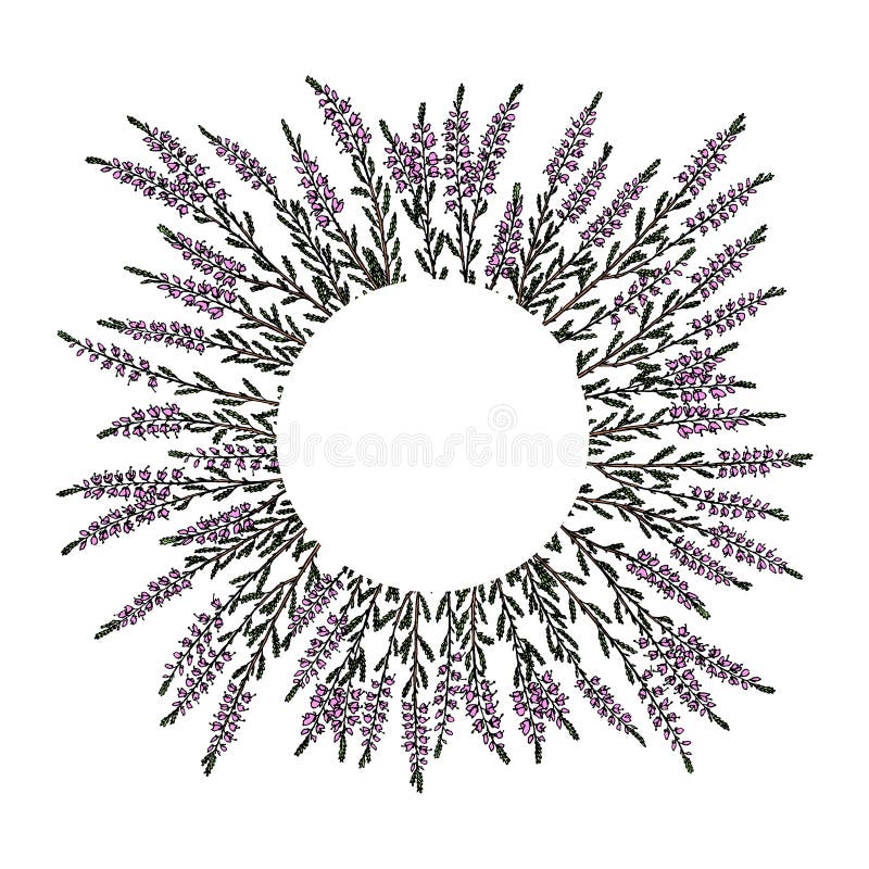Hand drawn heather frame stock vector. Illustration of health - 87139470