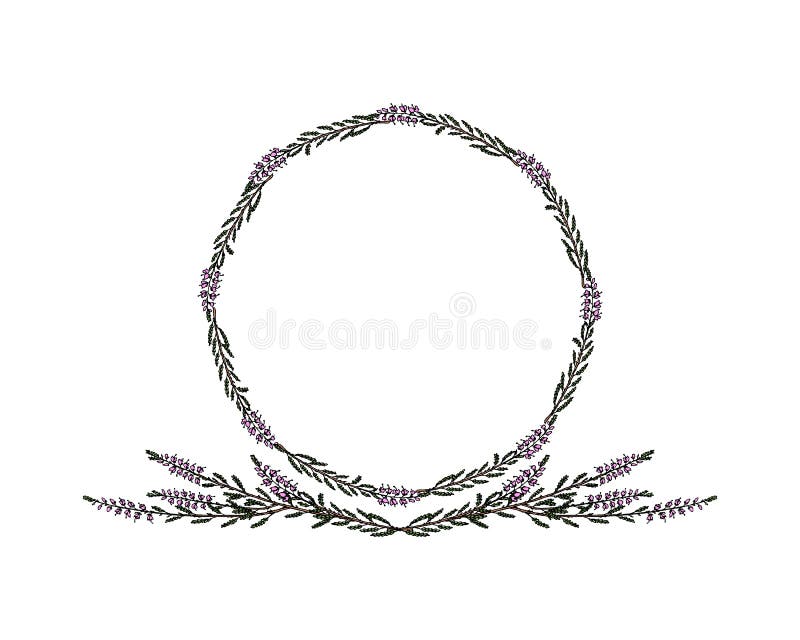 Hand drawn heather frame stock vector. Illustration of flora - 87139275