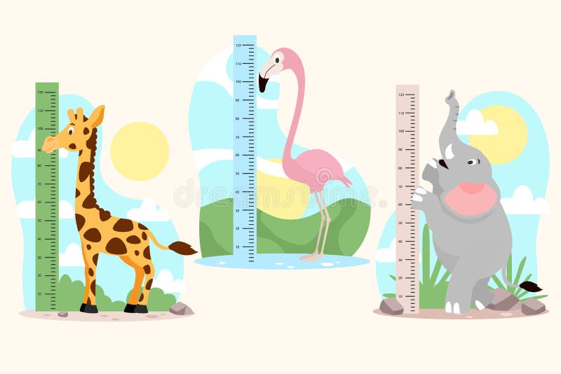 Hand Drawn Height Meter Set Vector Illustration. Stock Vector ...