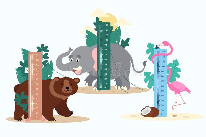 Hand Drawn Height Meter Set Vector Illustration. Stock Vector ...