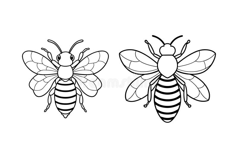 Hand-drawn Honey Bee Illustration Set Stock Vector - Illustration of ...