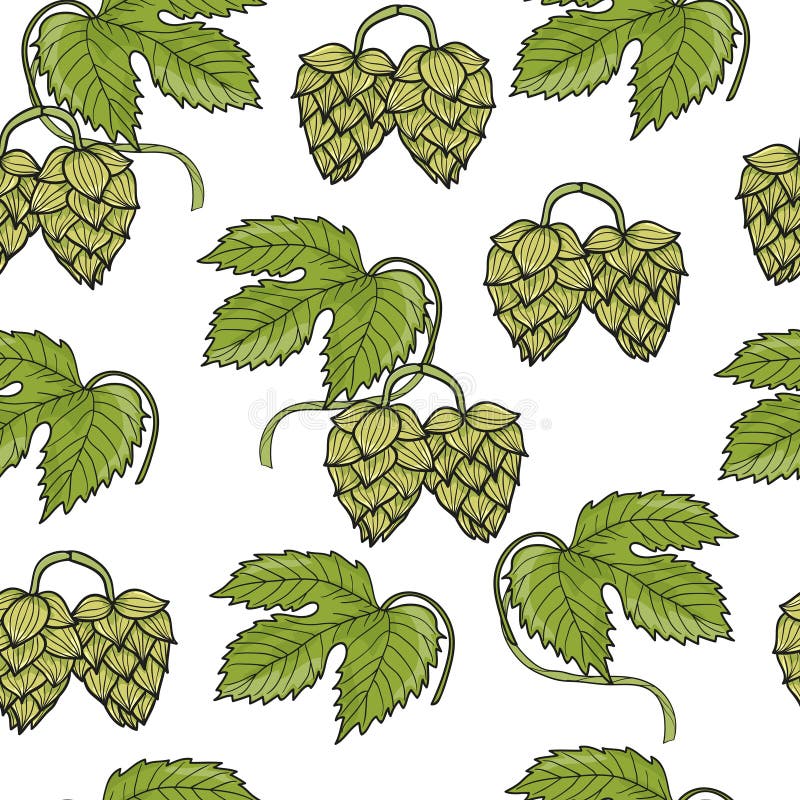 Hops stock vector. Illustration of decoration, design - 26688781