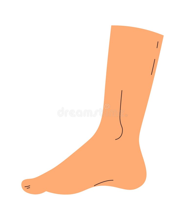 Hand Drawn Human Foot stock vector. Illustration of vector - 277674475