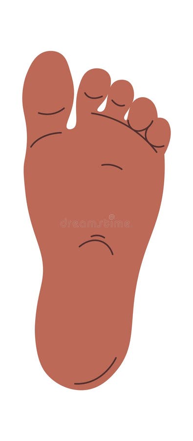 Hand Drawn Human Foot stock vector. Illustration of foot - 277675222