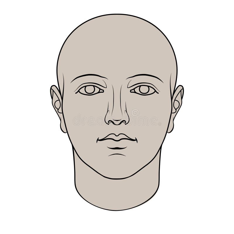 Androgynous Human Profile Stock Illustrations – 63 Androgynous Human ...