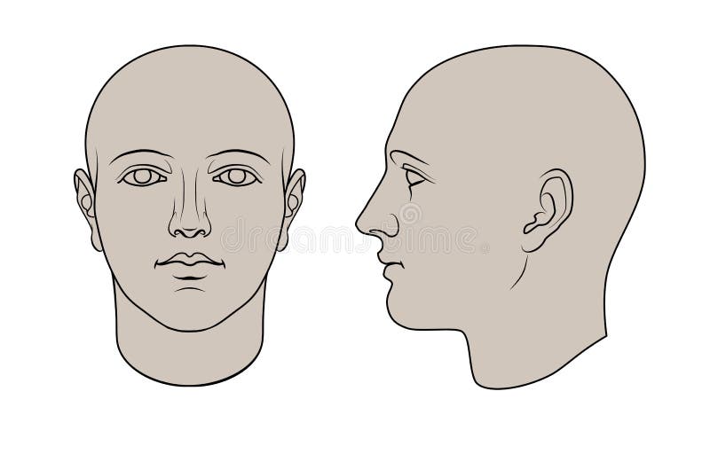 Hand Drawn Human Head in Face Stock Vector - Illustration of ideal ...