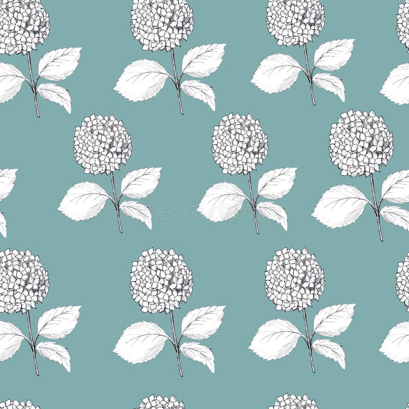 Hand Drawn Hydrangea Seamless Pattern. Stock Illustration ...