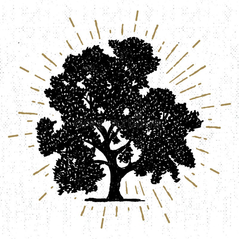 Hand Drawn Icon with a Textured Oak Tree Vector Illustration Stock ...