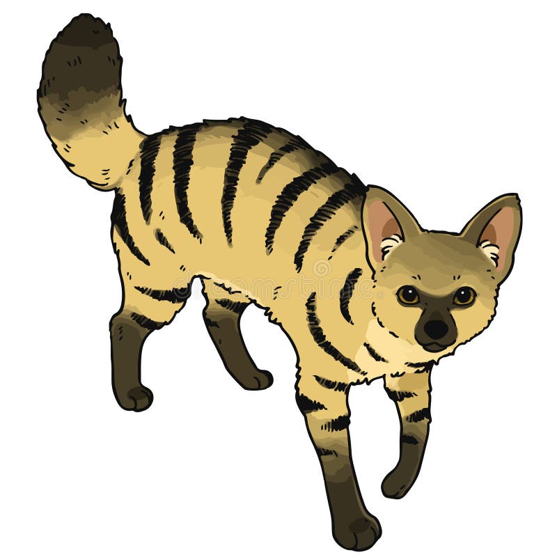 Hand Drawn Illustration of Aardwolf Stock Vector - Illustration of ...