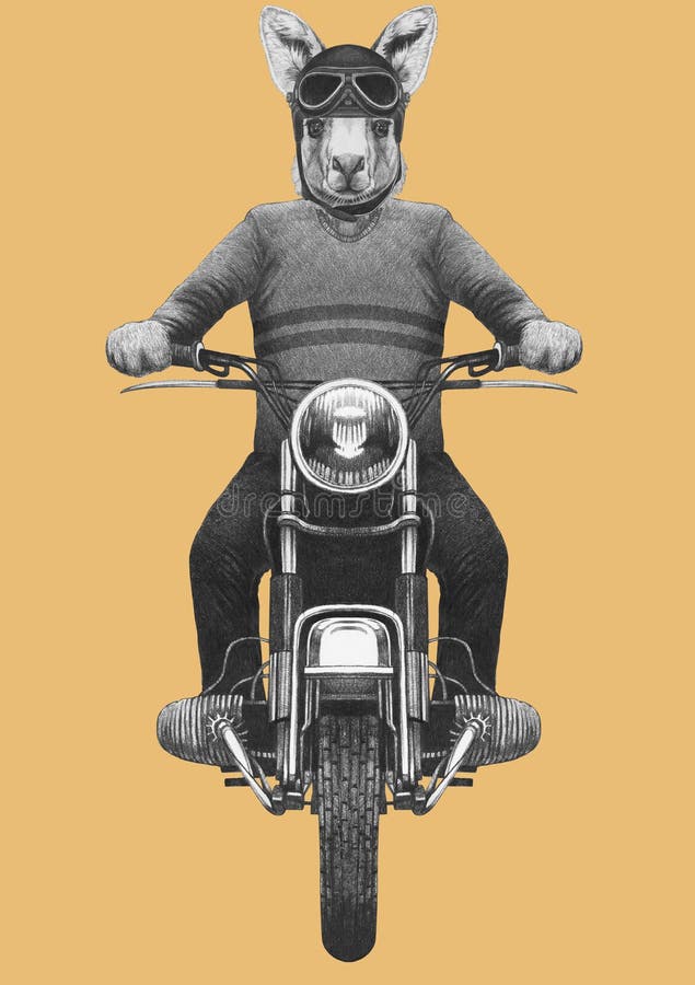 Kangaroo Rides Motorcycle, Hand-drawn Illustration Stock Illustration ...
