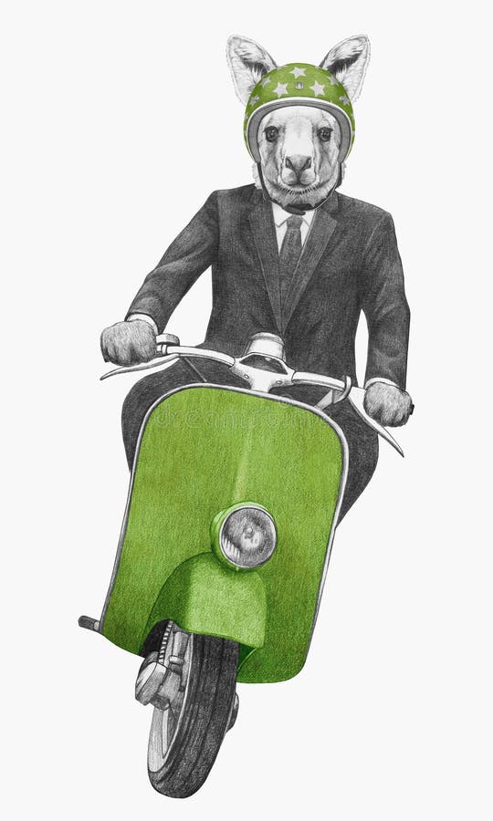 Kangaroo Rides Scooter, Hand-drawn Illustration Stock Illustration ...