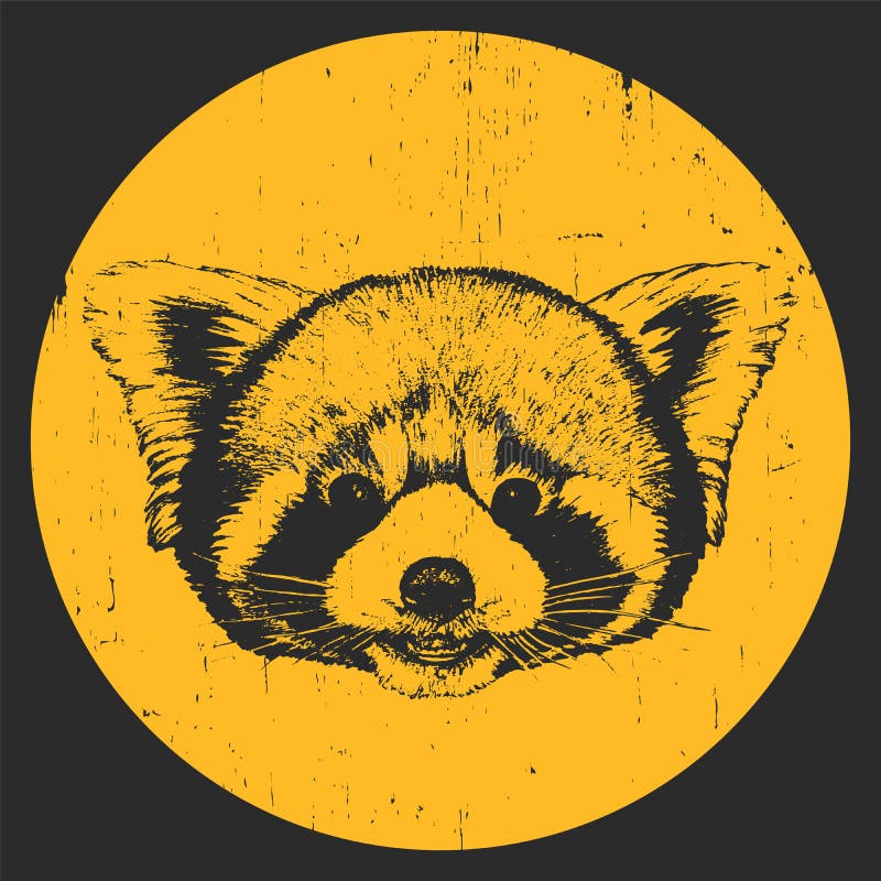 Portrait of Red Panda, Hand-drawn Illustration, Vector Stock Vector ...