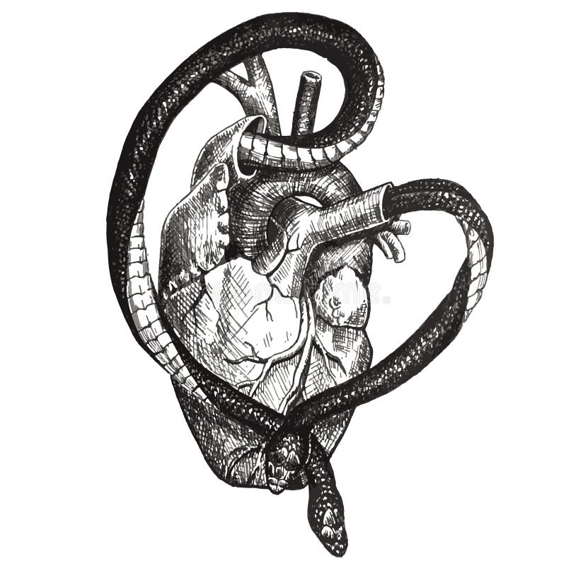 Snake Heart Tattoo Art Stock Illustrations – 239 Snake Heart Tattoo Art ...