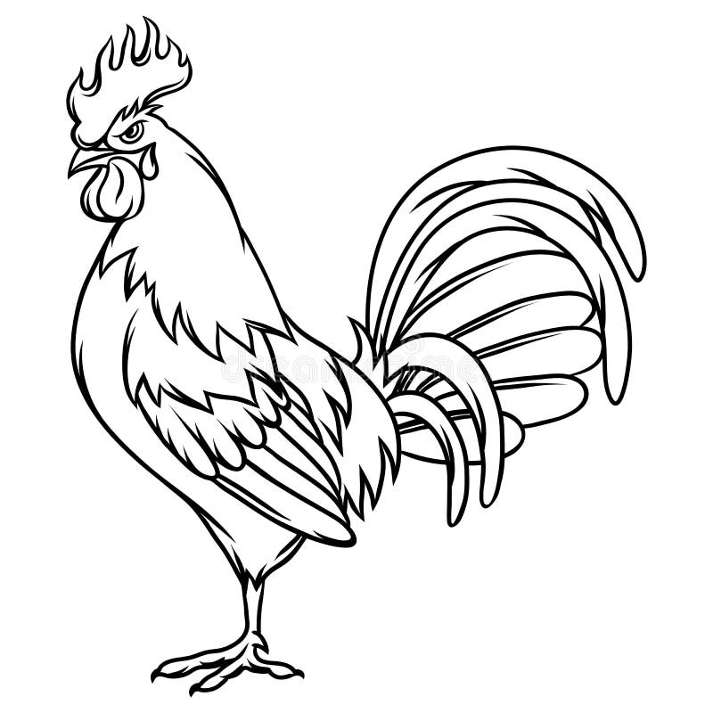 Hand Drawn Illustration of Black Rooster on White Background Stock ...