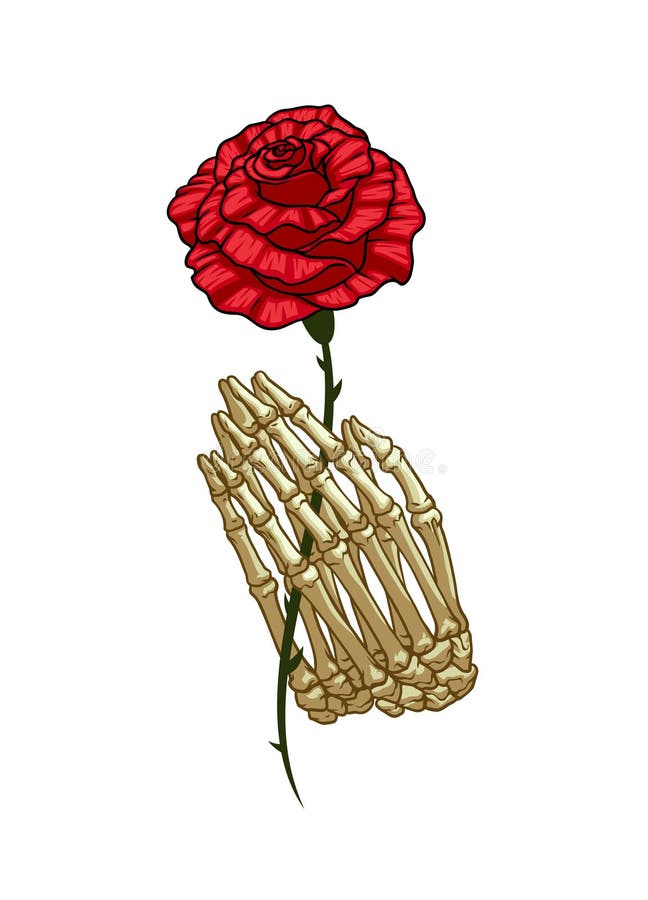 Hand Drawn Illustration of Bone Hand Holding a Red Rose Stock Vector ...