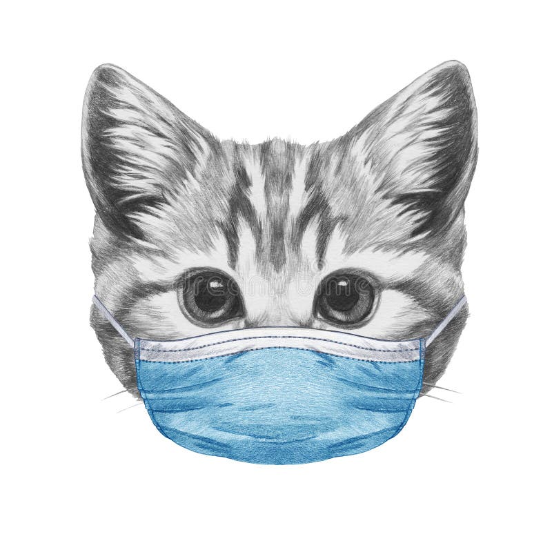 Portrait of Cat with Face Mask. Hand-drawn Illustration. Stock ...
