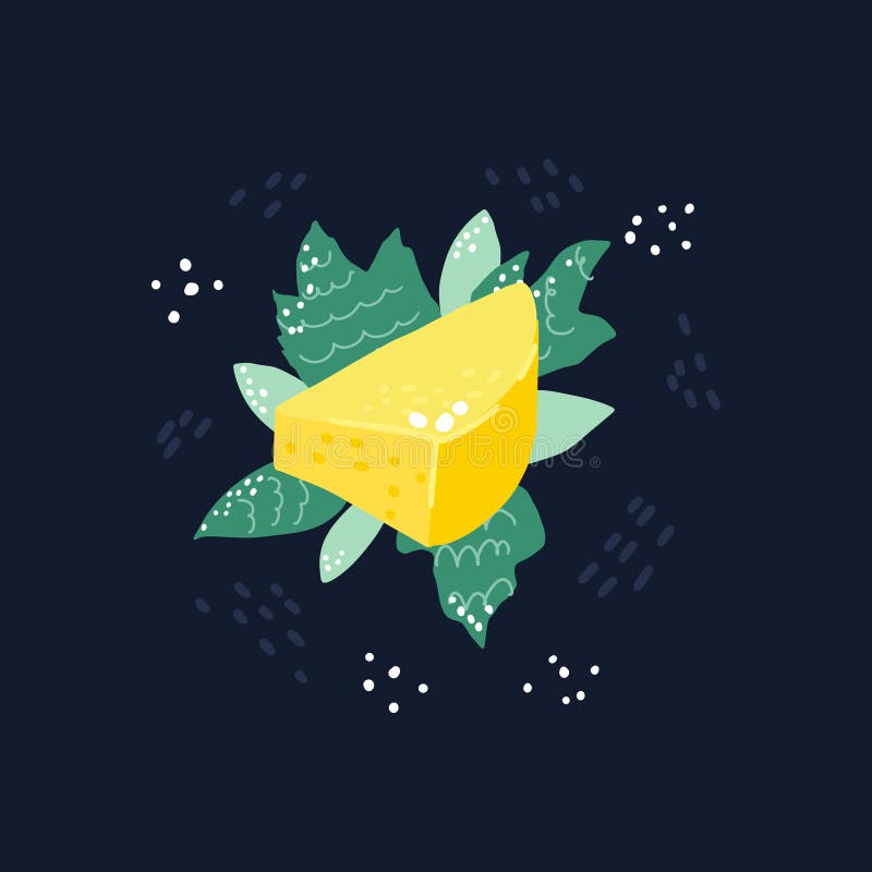 Hand Drawn Illustration of Cheese in Leaves Stock Vector - Illustration ...