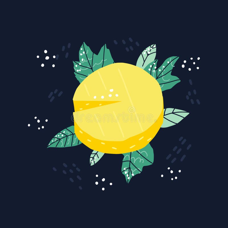 Hand Drawn Illustration Of Cheese In Leaves Stock Vector - Illustration ...