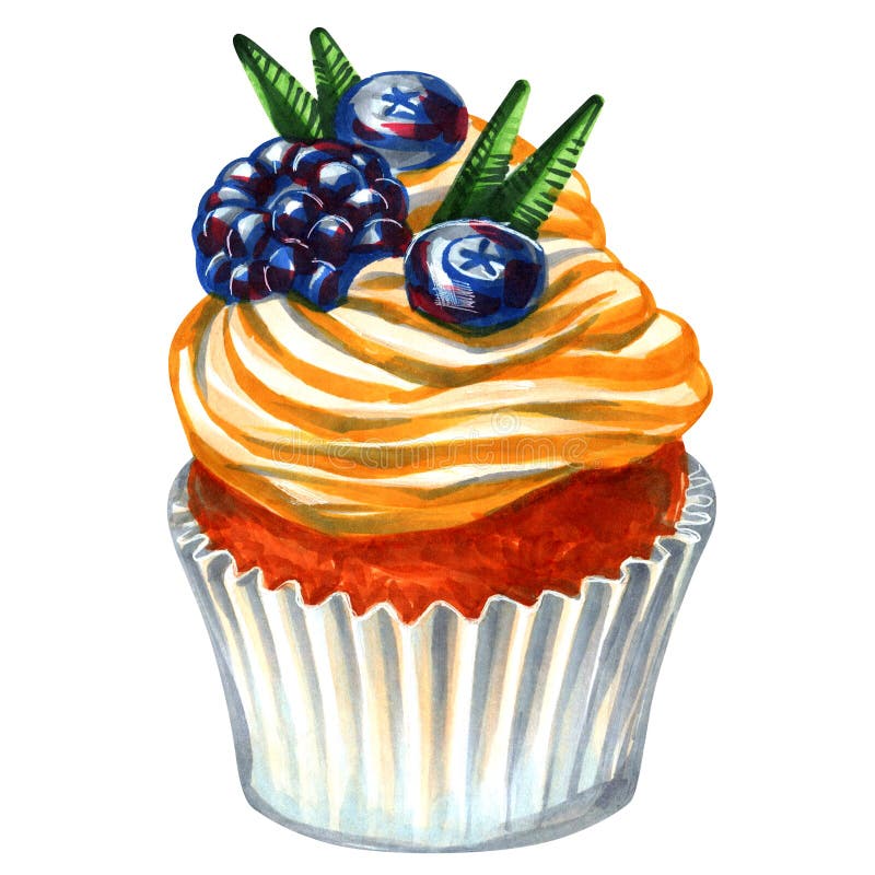 Hand Drawn Illustration of Cupcake with Cream and Berries. Stock Photo ...