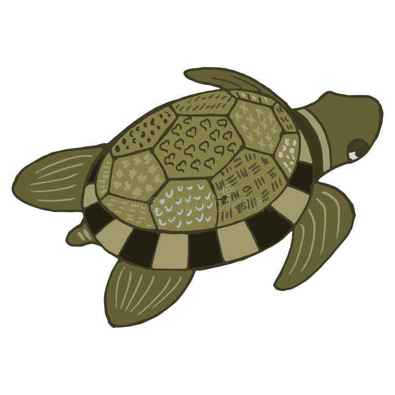 Hand-drawn Illustration of a Cute Turtle with a Patterned Shell. Design ...