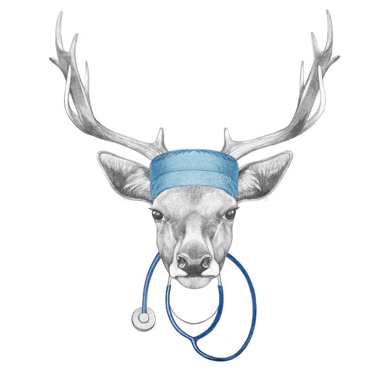 Portrait of Deer with Doctor Cap and Stethoscope. Hand-drawn ...