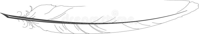 Hand Drawn Illustration of Feather for Writing Stock Vector ...