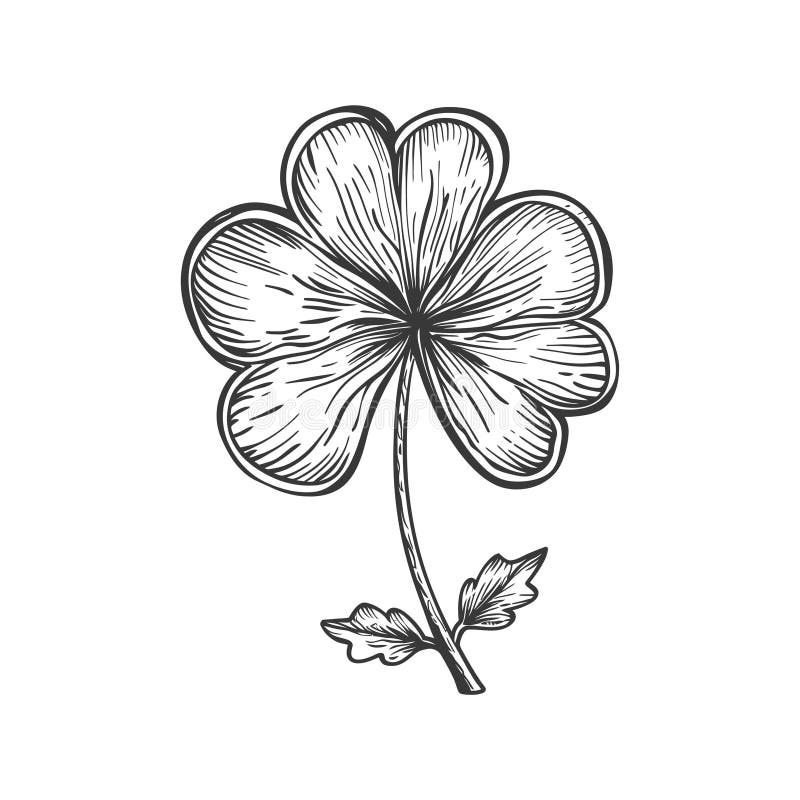 Intricate Hand-Drawn Clover Illustration, Botanical Sketch Stock Vector ...