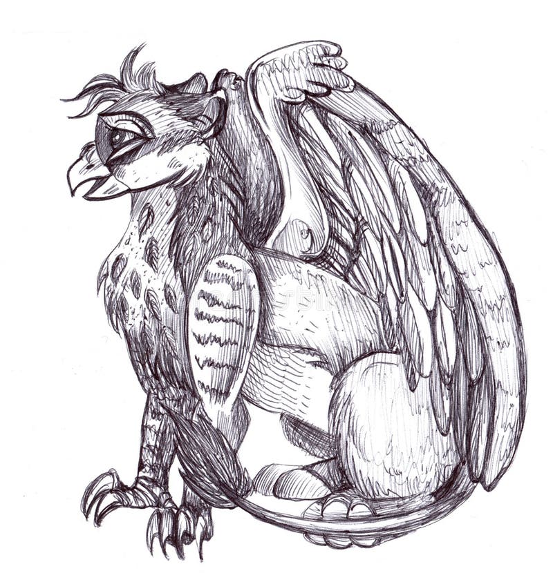 Hand Drawn Illustration Gryphon in Cartoon Style. Monochrome Stock ...