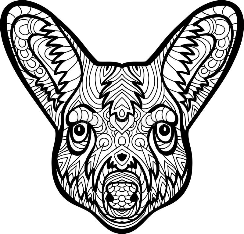 Kangaroo Zentangle Coloring Page Stock Illustration - Illustration of ...